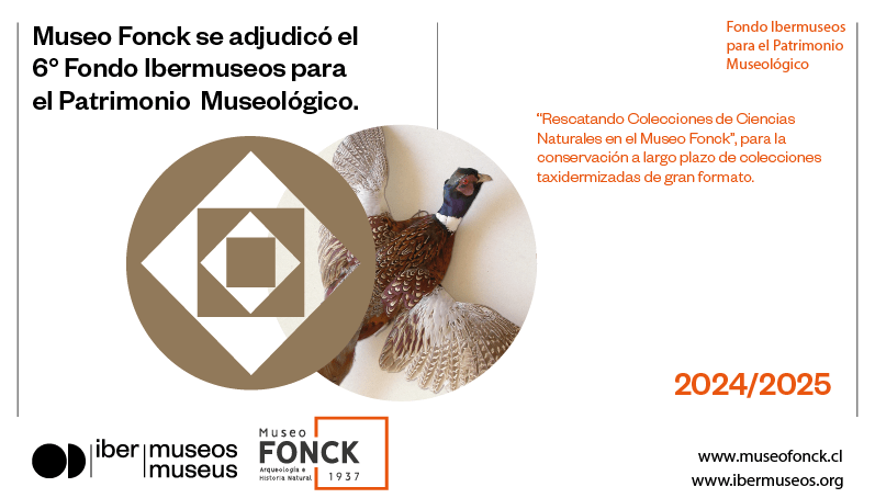 Museo Fonck se adjudicó el 6° Fondo Ibermuseos para el Patrimonio ...